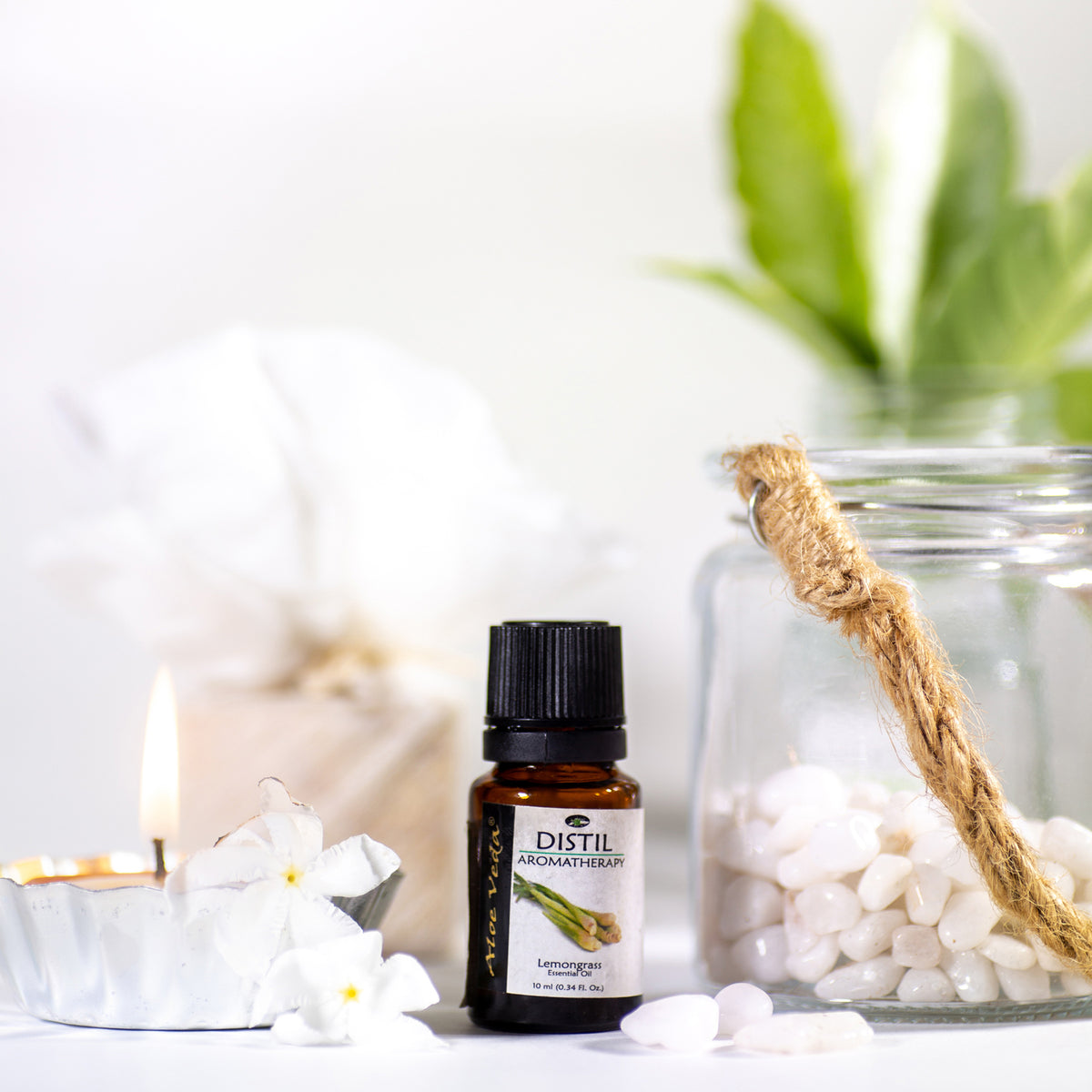 Lemongrass Essential Oil | Aloe Veda